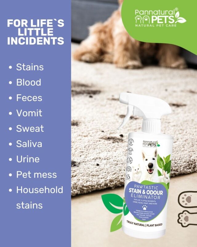 Pawtastic Stain and Odour Eliminator | Pannatural Pets
